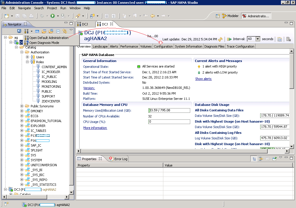 Revisando los «parámetros del sistema» de nuestro SAP HANA Appliance ...