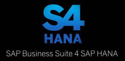 S4HANA, un producto 100% SAP HANA – aníbal goicochea